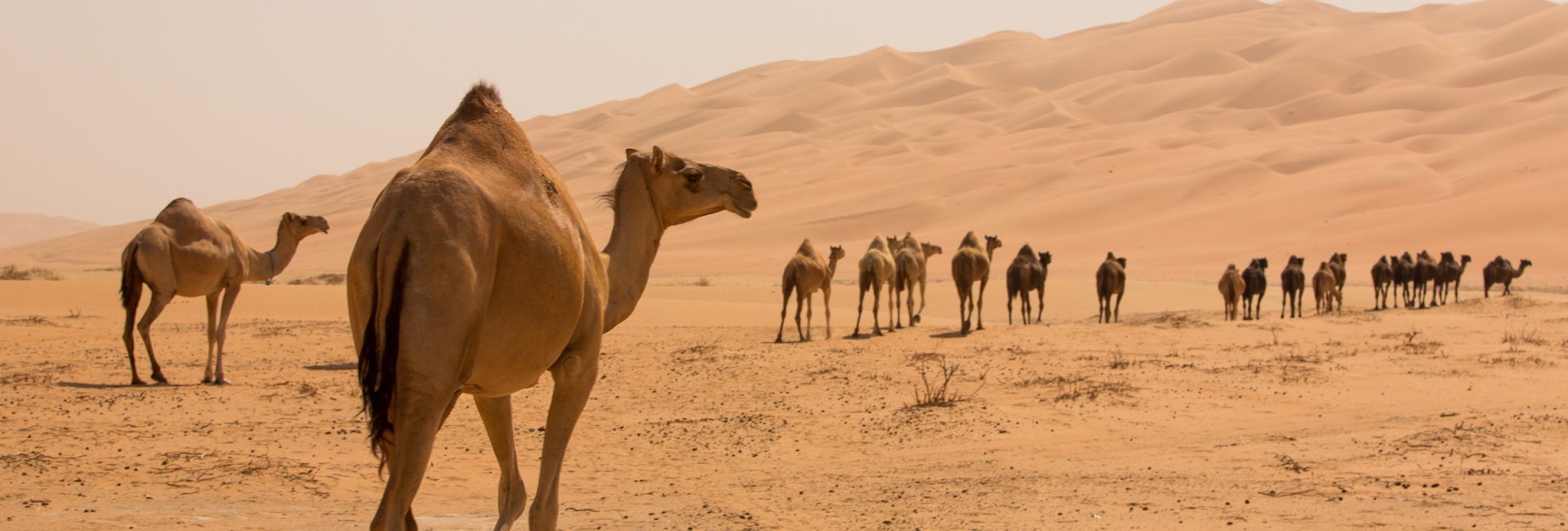 Radient Rocks – Just another WordPress site